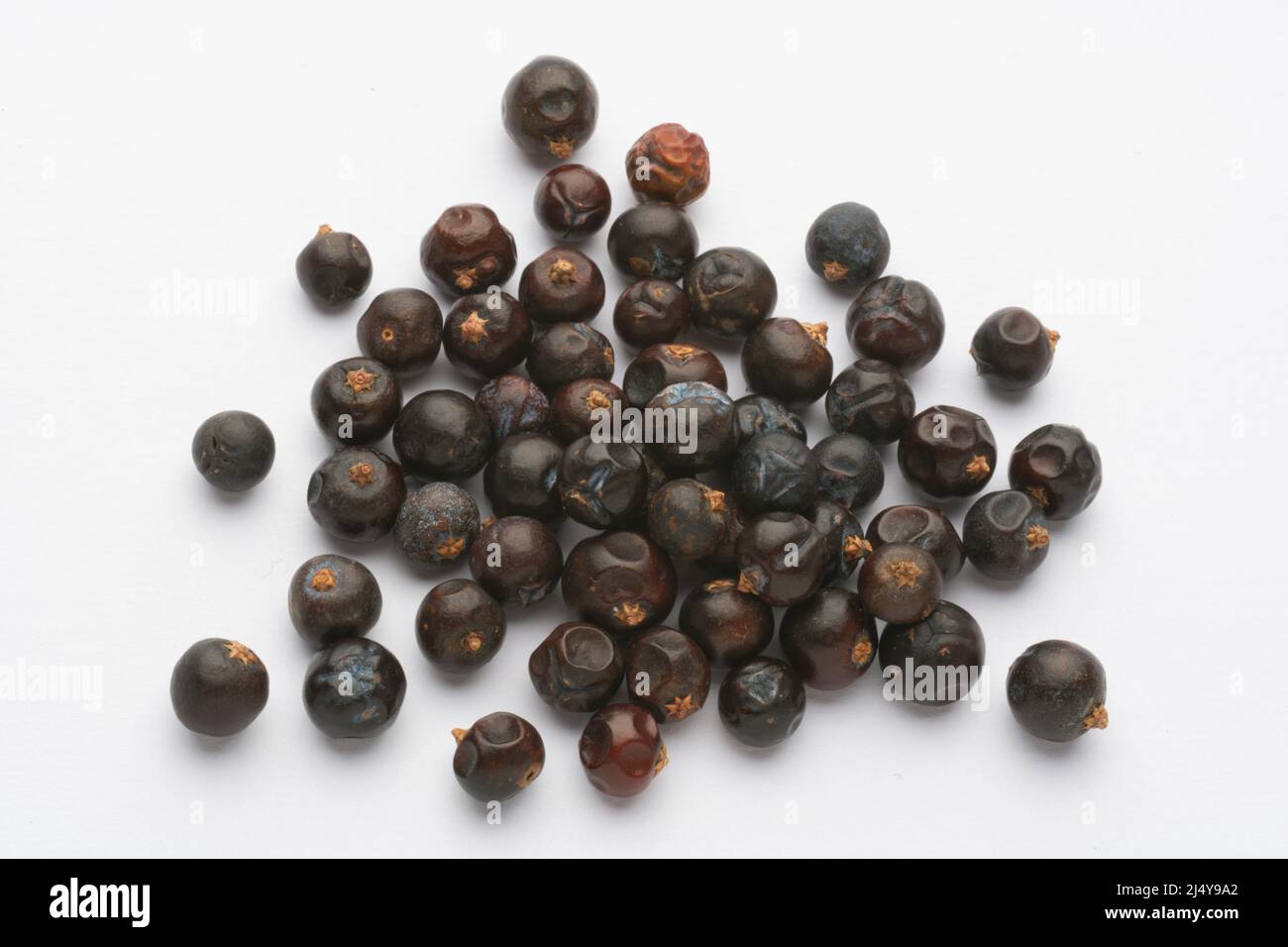 The fruit of a juniper bush. Juniper berries Stock Photo - Alamy