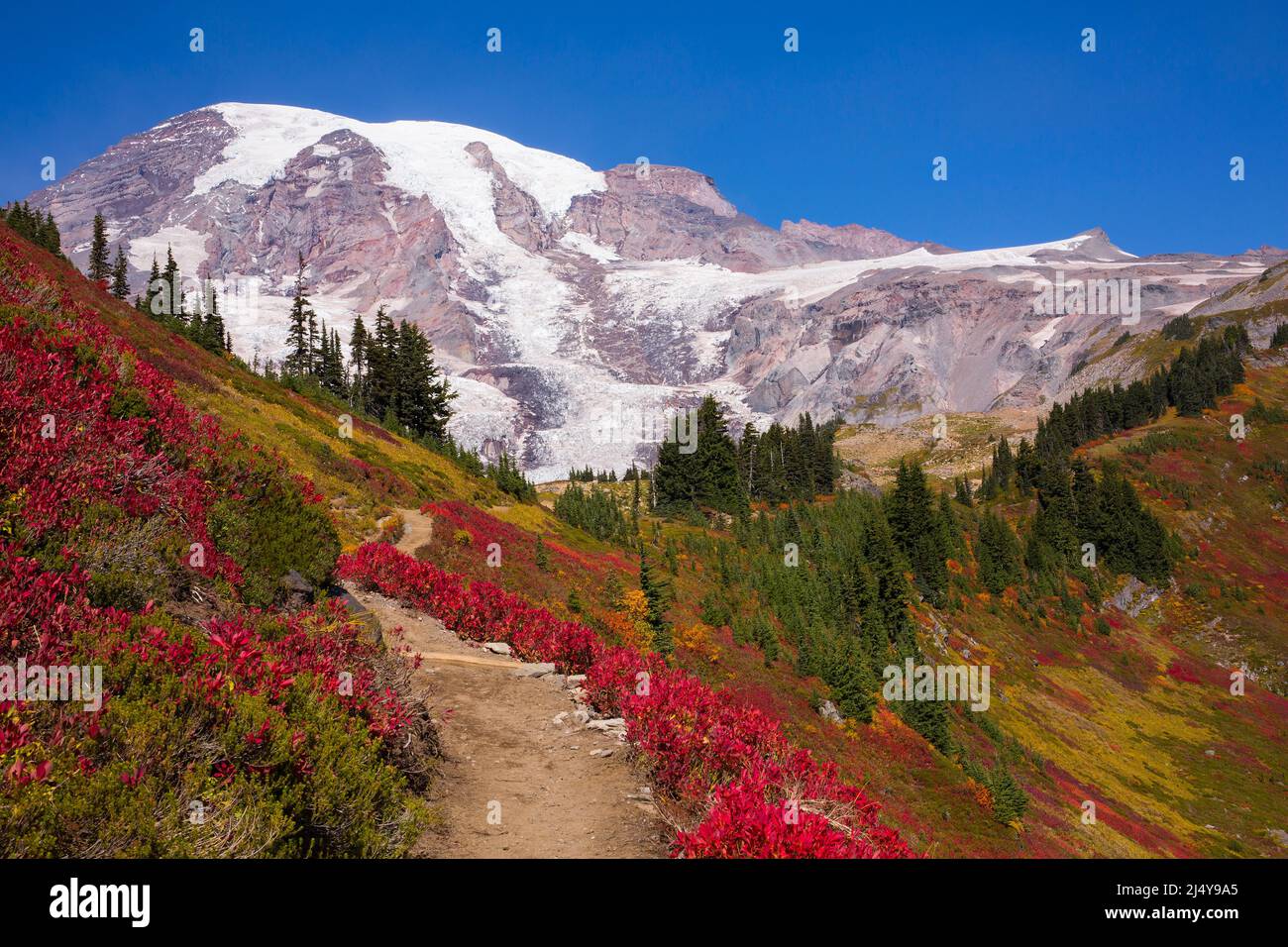 One of many hiking trails surrounded by stunning fall foliage at Mt ...