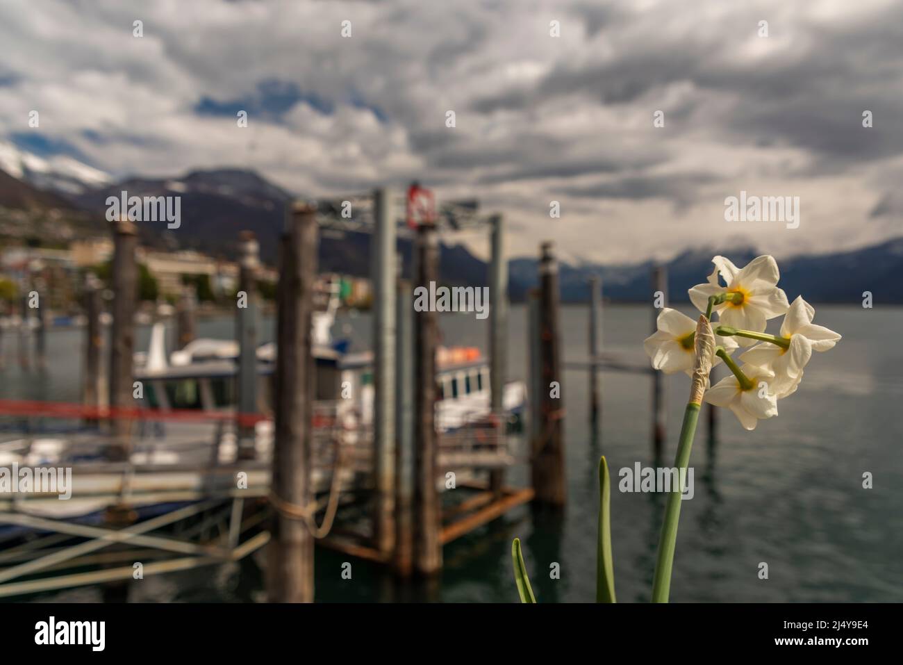 Port in Locarno in spring dark cloudy color day Stock Photo - Alamy