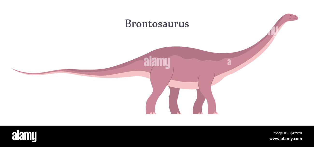 Big brontosaurus with a long neck and tail. Herbivorous dinosaur of the ...