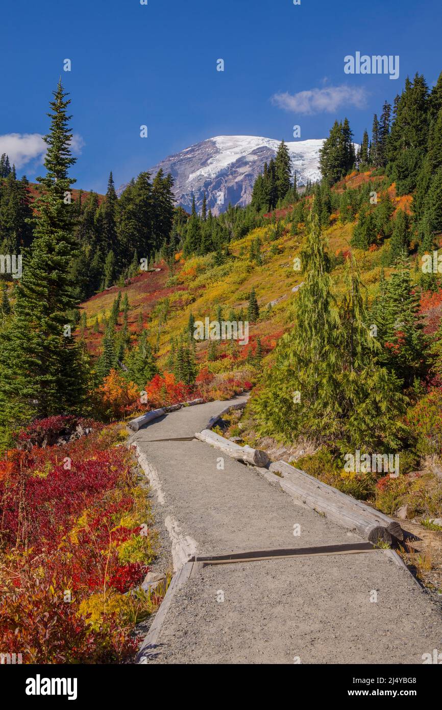 Stunning fall foliage at Mt. Rainier National Park in Washington state ...