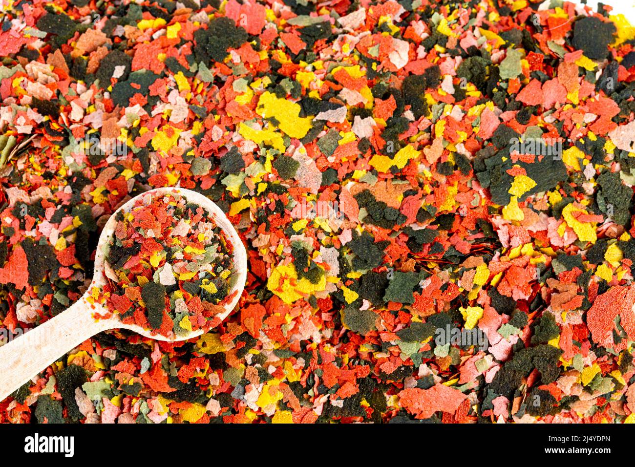 Dry multi-colored flakes on a wooden spoon compound fish feed flakes ...
