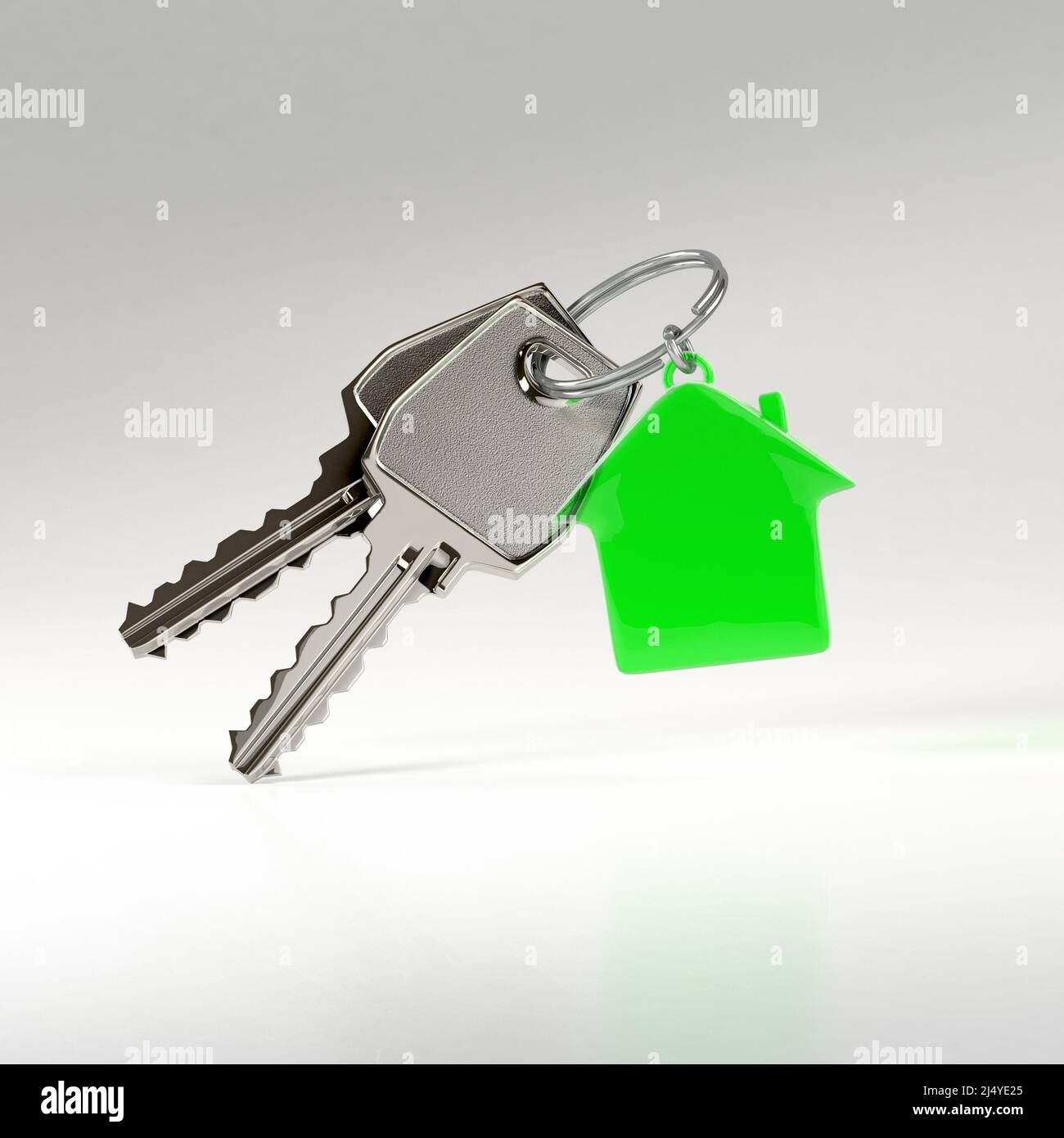 Two keys on a ring with a green plastic house chain. Photo-realistic ...