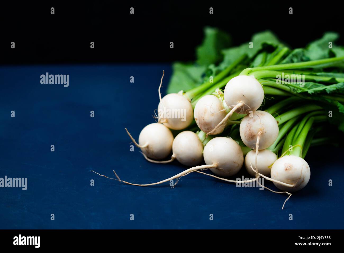 Large round radish hi-res stock photography and images - Alamy