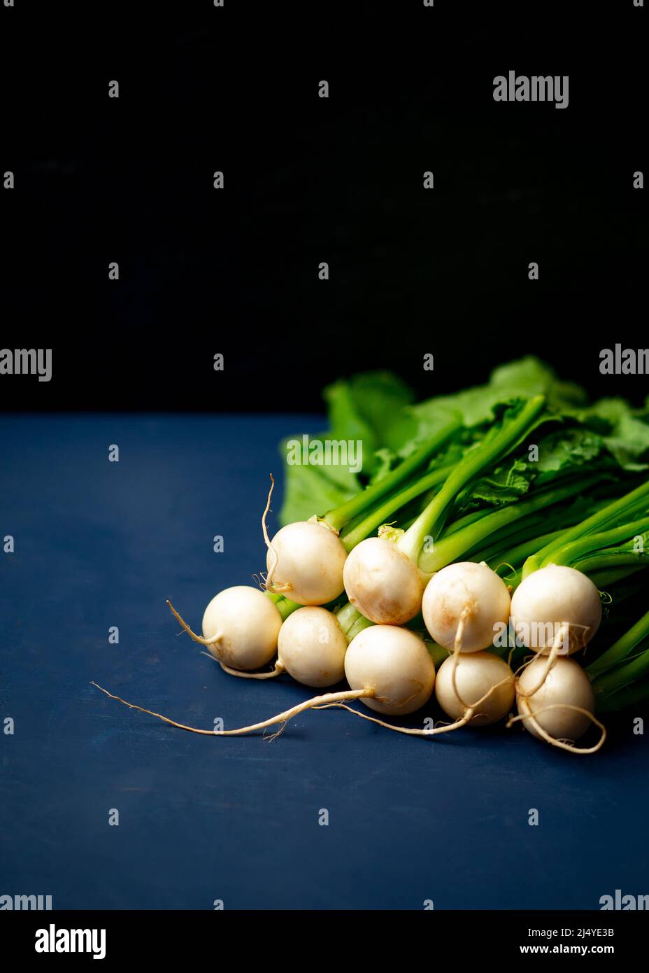 Japanese wild radish hi-res stock photography and images - Alamy
