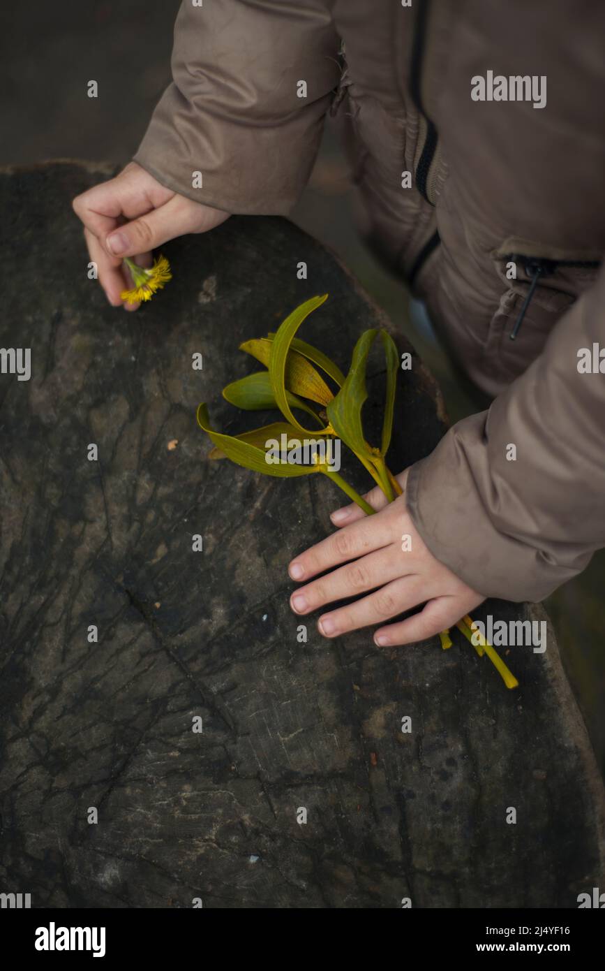 Sring hi-res stock photography and images - Alamy