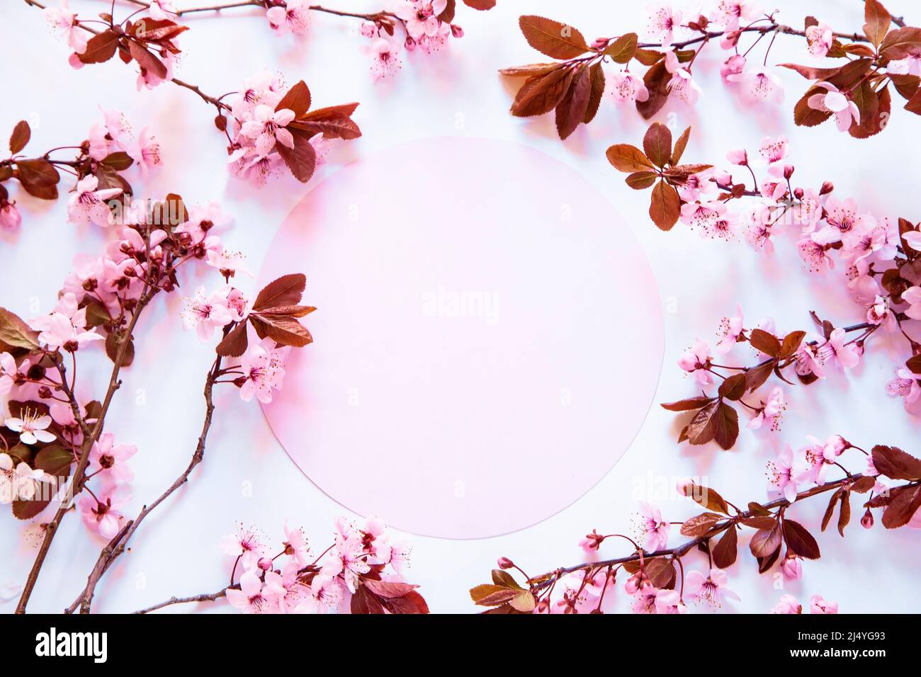 Spring flower composition with a blanck note Stock Photo - Alamy