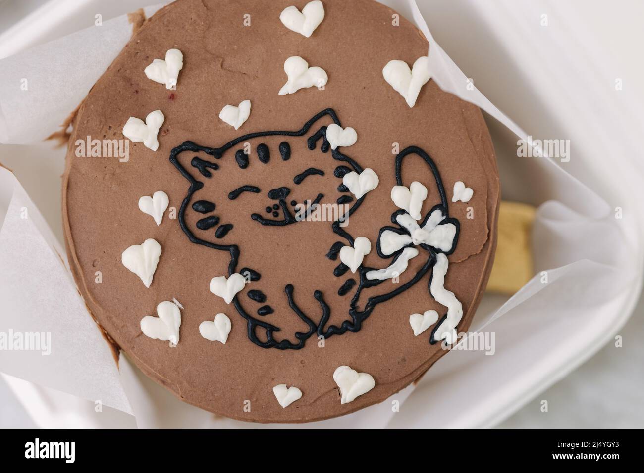 Close up of bento cake with cute picture of cat and white sugar hearts ...