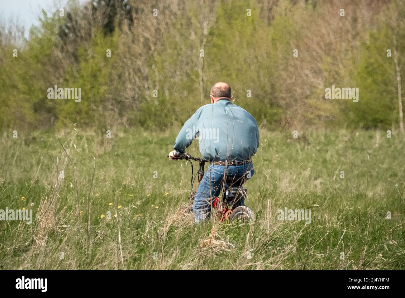 large dark red coach work horse transport lorry in motion through open ...