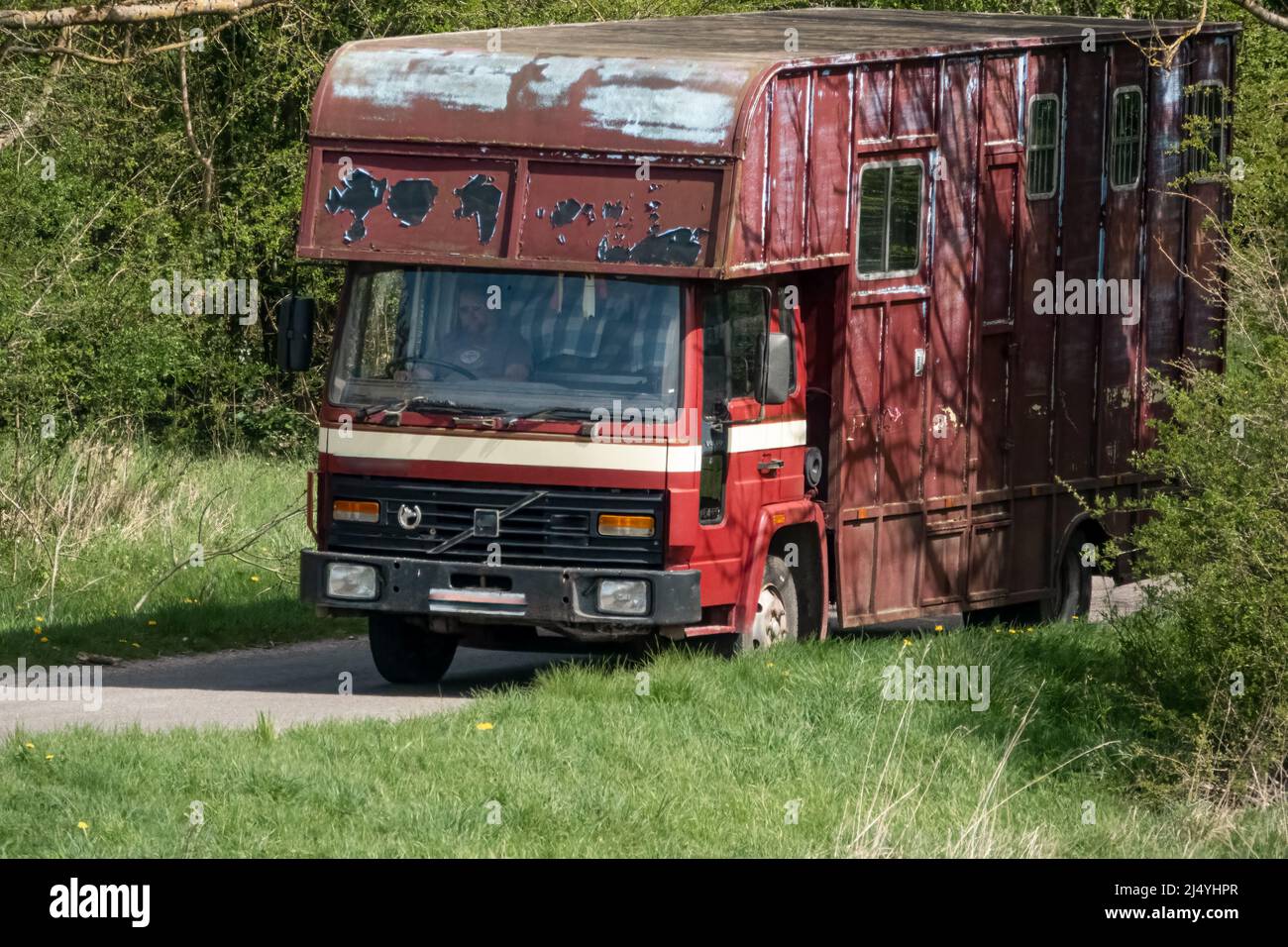 large dark red coach work horse transport lorry in motion through open ...