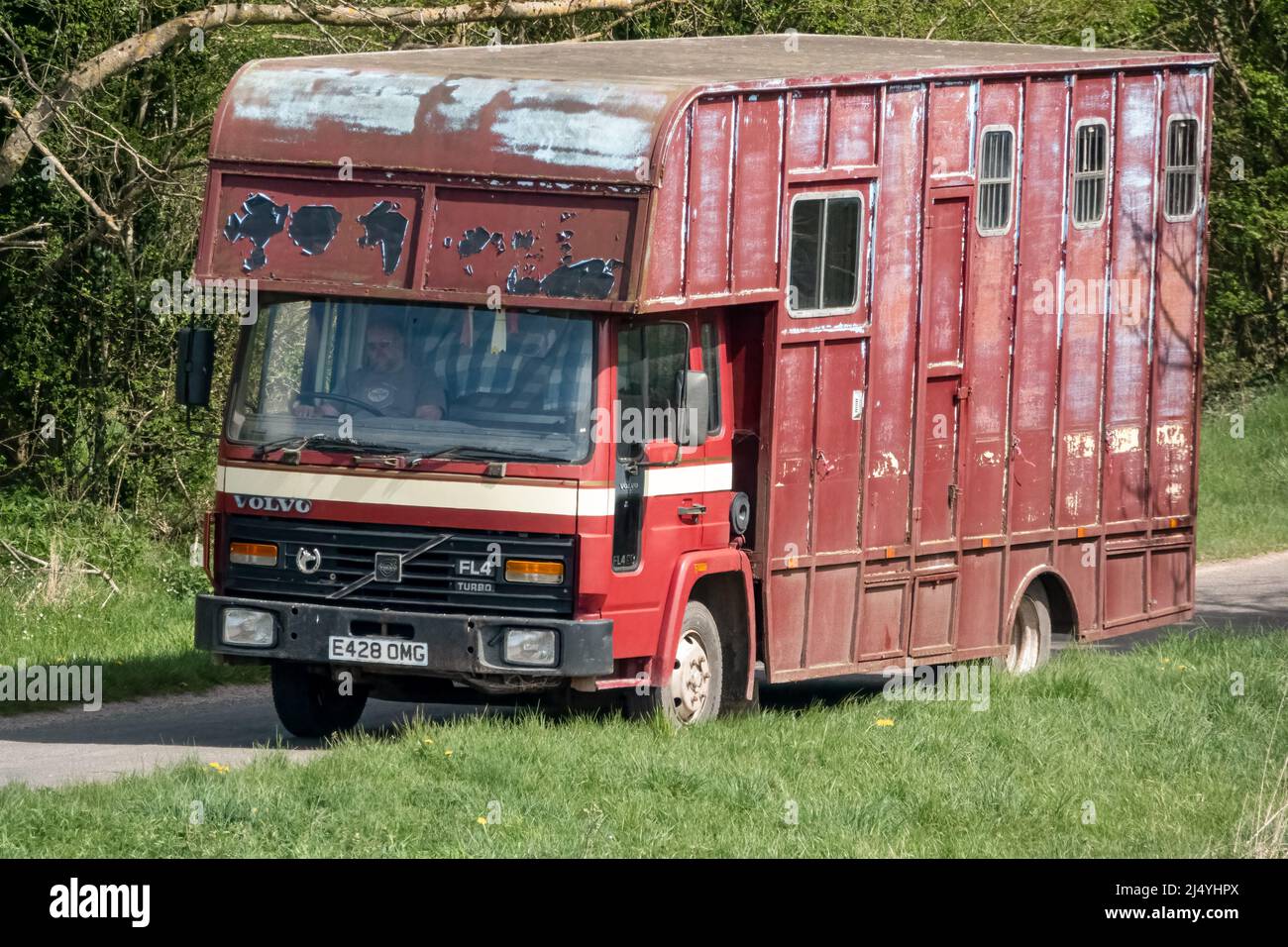 large dark red coach work horse transport lorry in motion through open ...