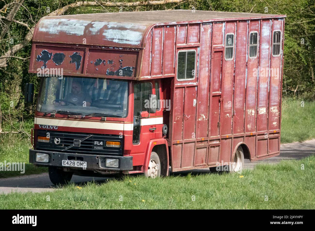 large dark red coach work horse transport lorry in motion through open ...