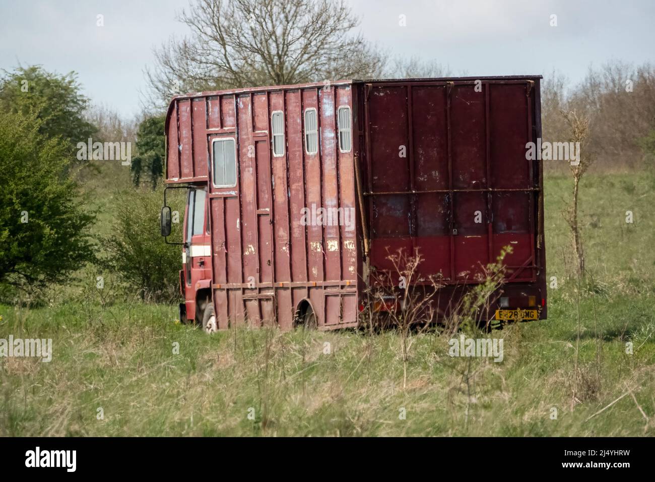large dark red coach work horse transport lorry in motion through open ...