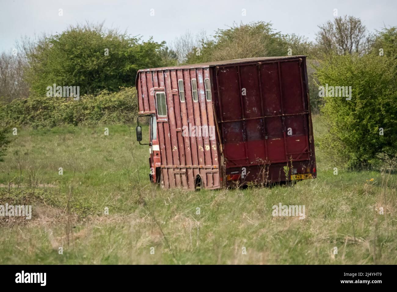 large dark red coach work horse transport lorry in motion through open ...