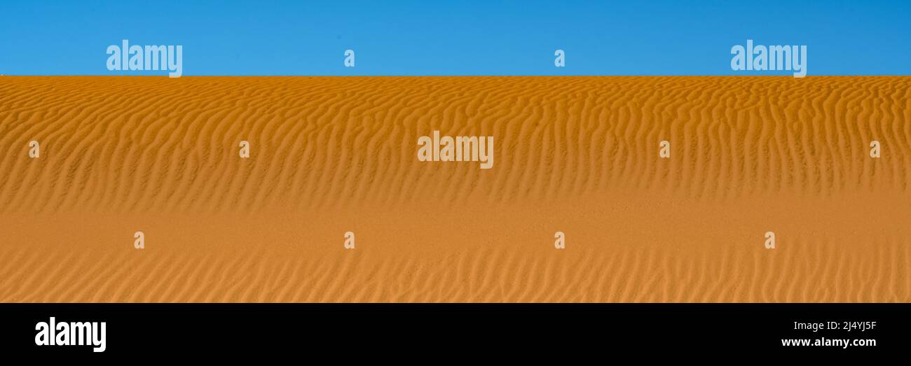 Namibia, the Namib desert, graphic landscape of yellow dunes ...