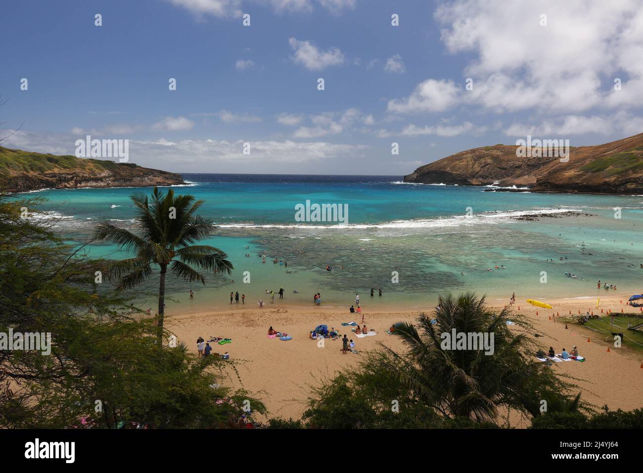 Bay with palm trees hi-res stock photography and images - Alamy