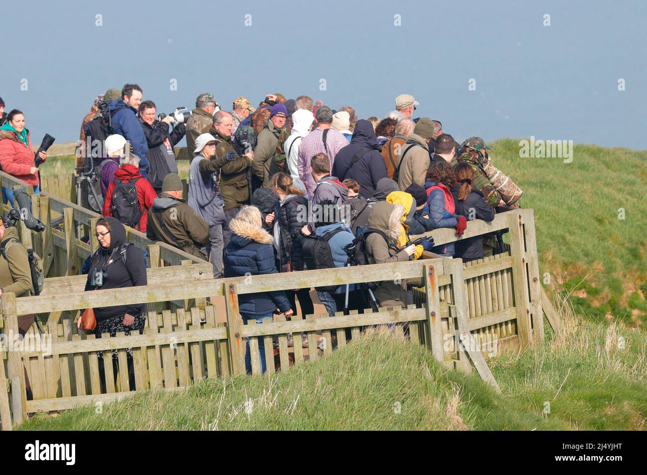 Birdwatchers gather at Bempton Cliffs Nature Reserve to see a rare ...