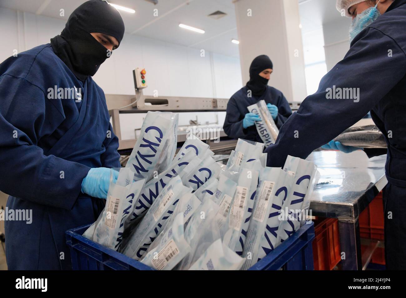 The work of the production and distribution center of the fishing ...