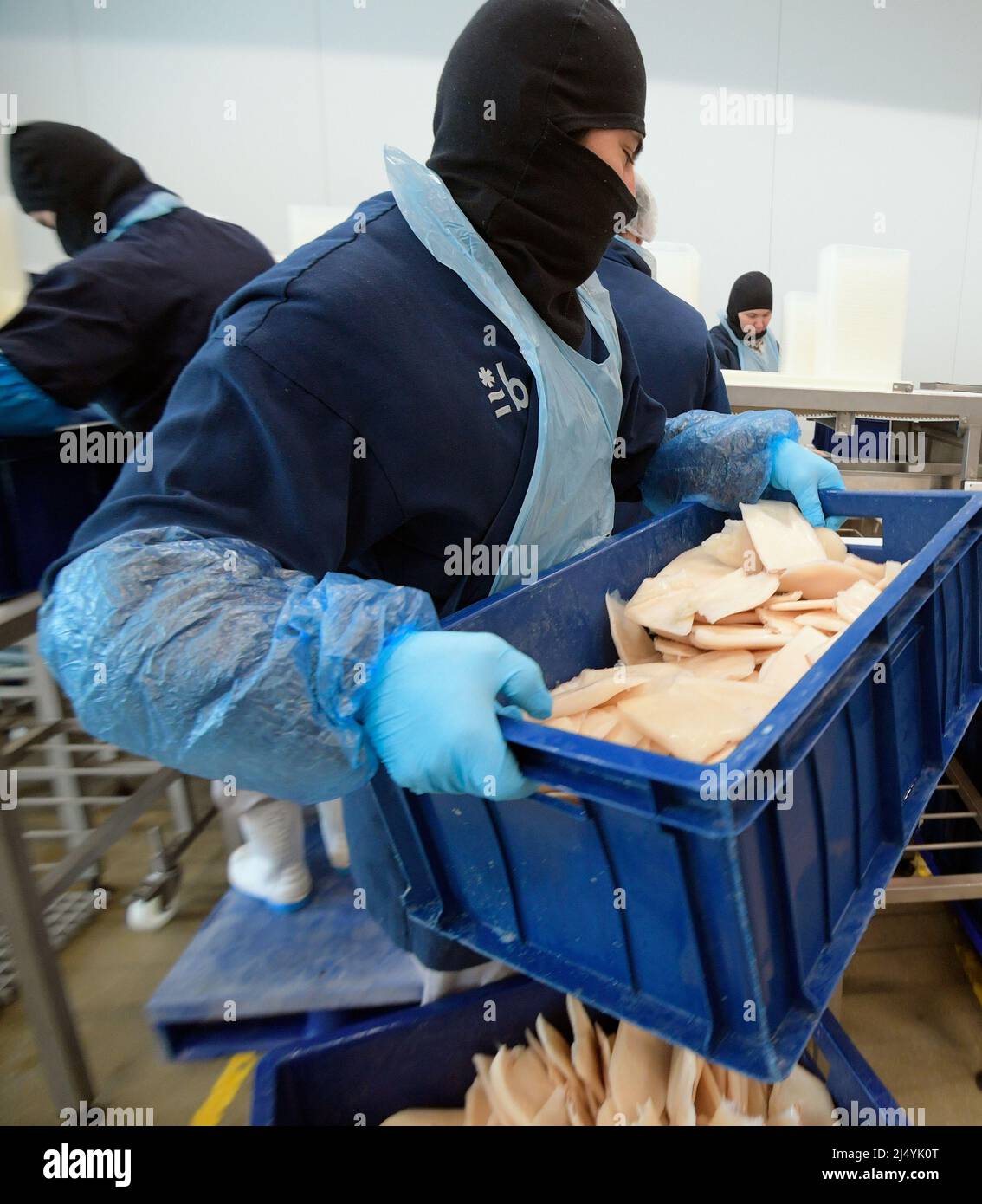 The work of the production and distribution center of the fishing ...