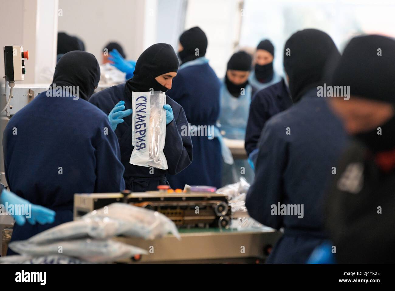 The work of the production and distribution center of the fishing ...