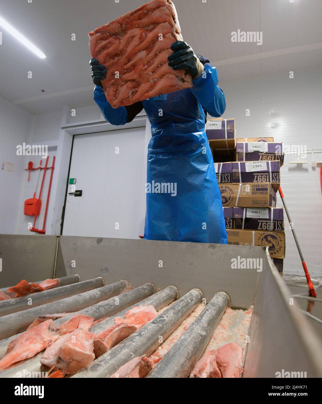 The work of the production and distribution center of the fishing ...