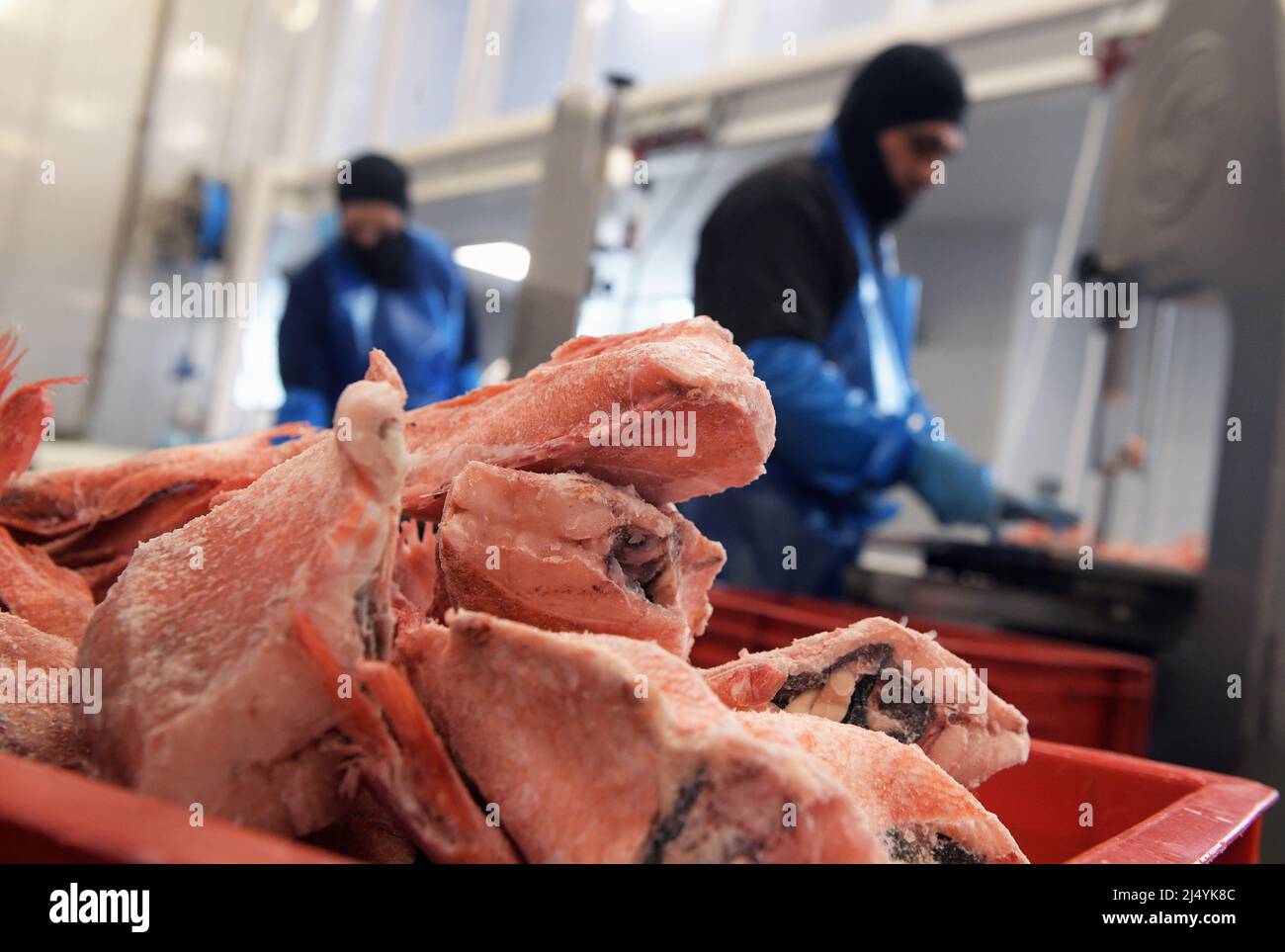 The work of the production and distribution center of the fishing ...
