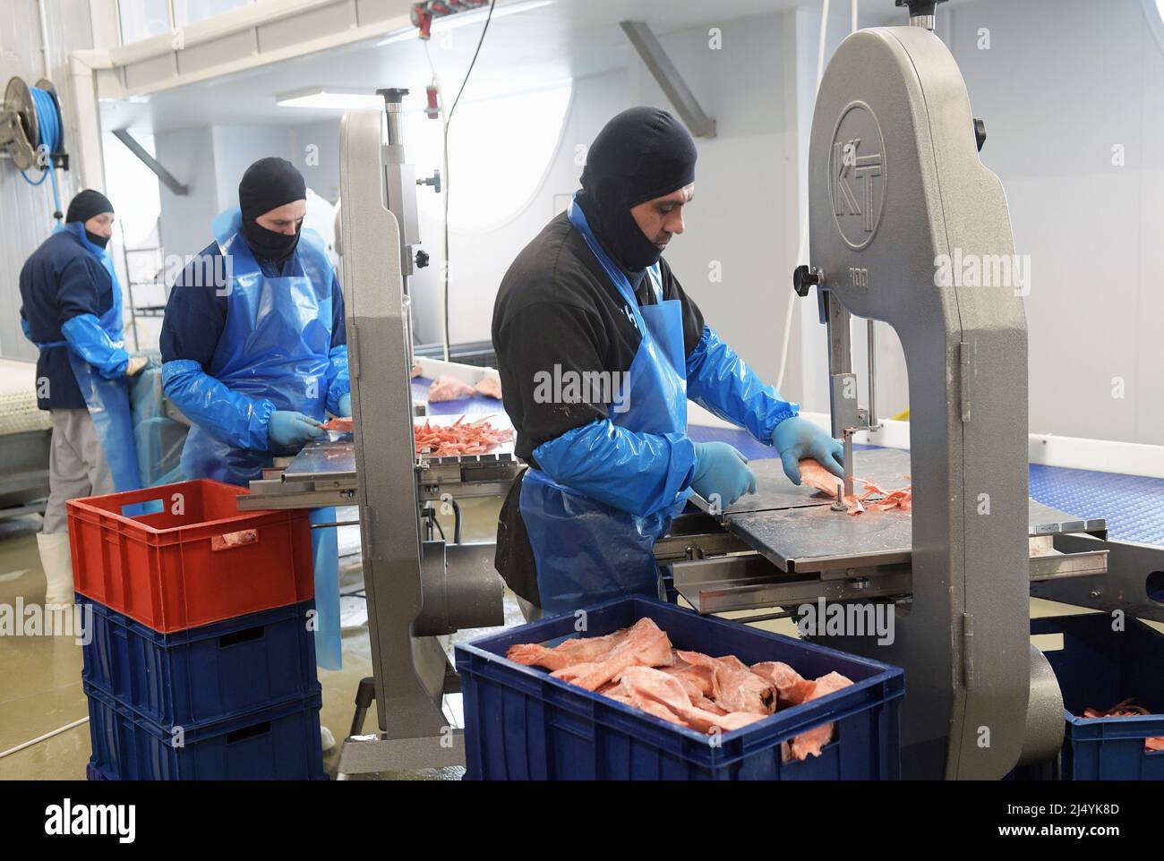 The work of the production and distribution center of the fishing ...