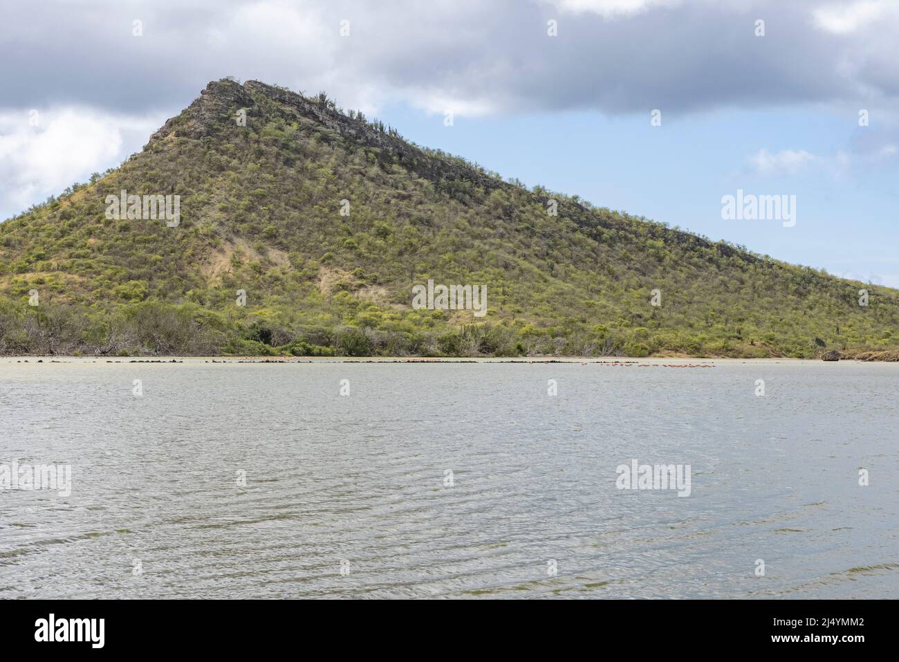 Salina Sint Michiel on the Caribbean island Curacao Stock Photo - Alamy