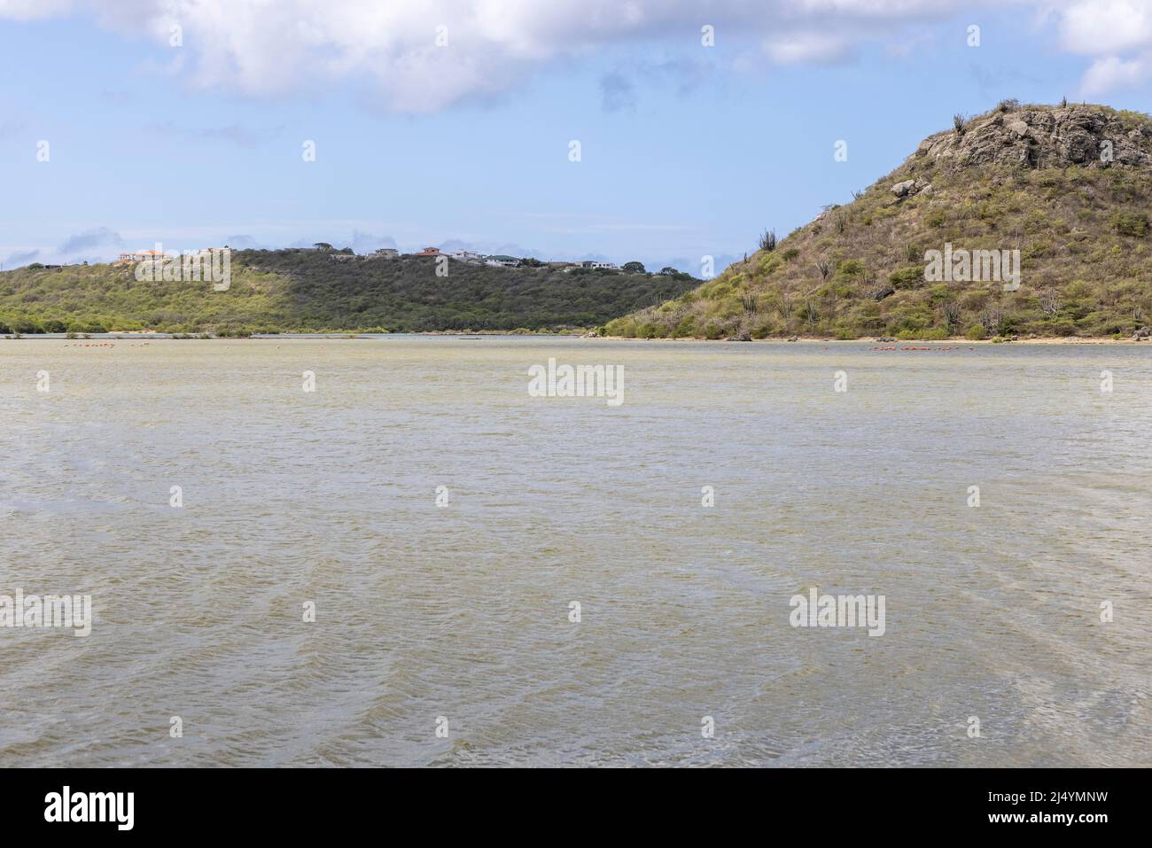 Salina Sint Michiel on the Caribbean island Curacao Stock Photo - Alamy