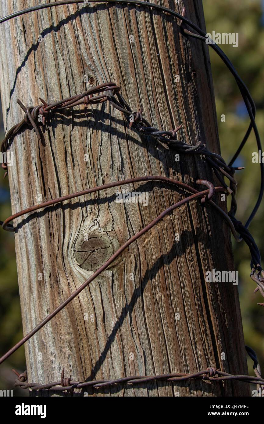 Tangled barbed wire hi-res stock photography and images - Alamy