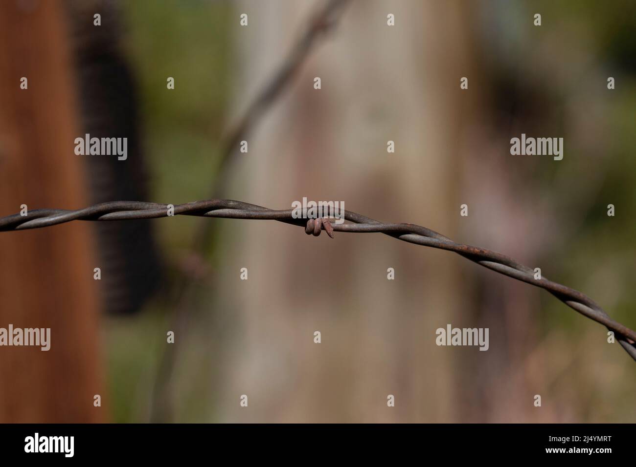 Tangled barbed wire hi-res stock photography and images - Alamy