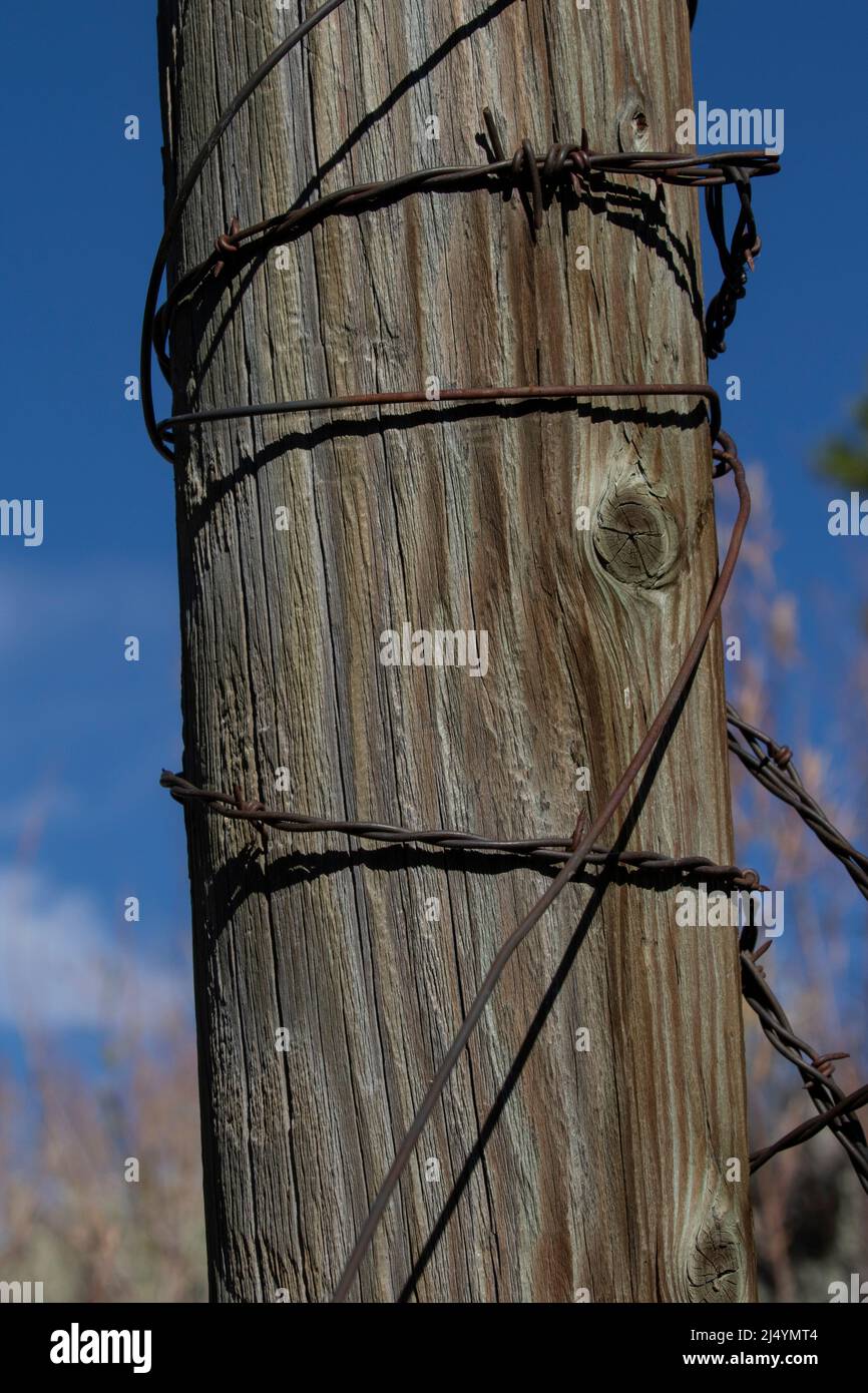 Tangled barbed wire hi-res stock photography and images - Alamy