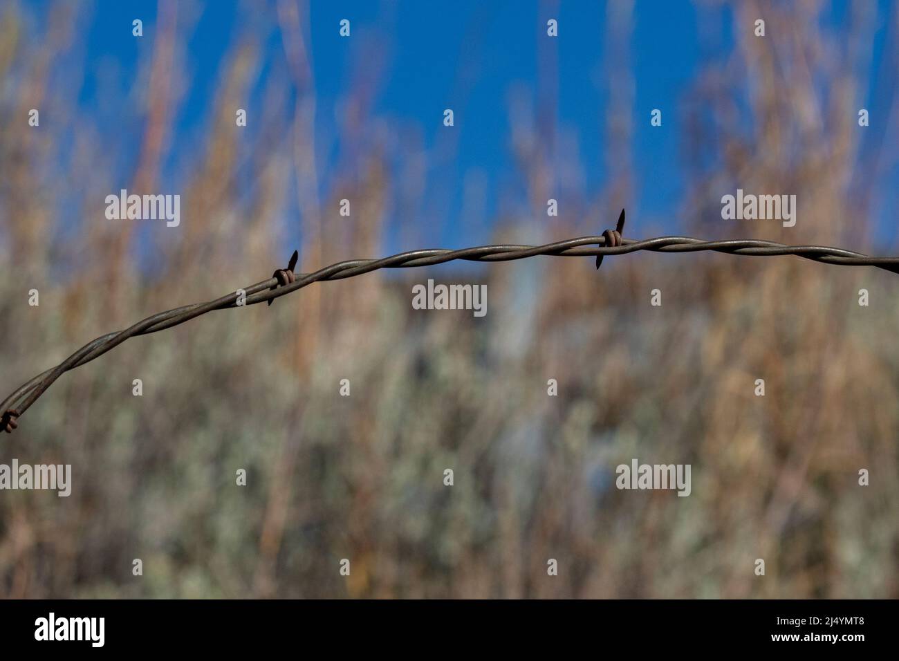 Tangled barbed wire hi-res stock photography and images - Alamy