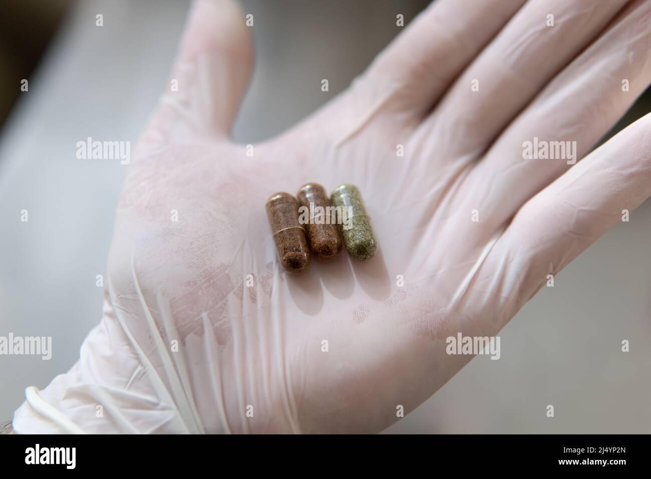 useful supplements in capsules. Gelatin capsules with dietary ...