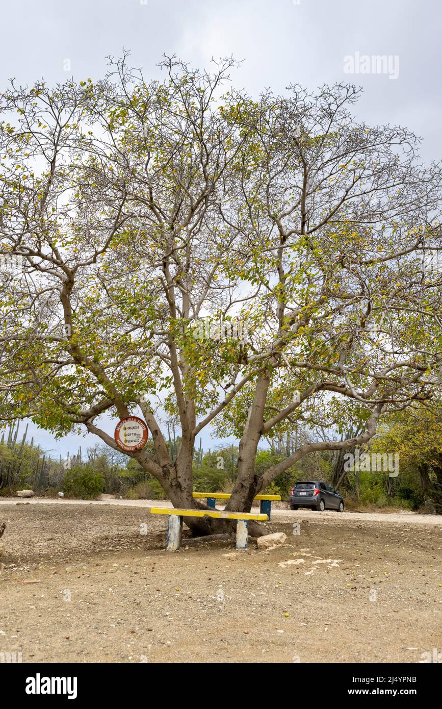 Manzanilla playa hi-res stock photography and images - Alamy