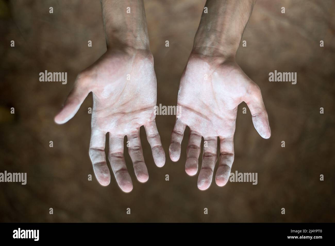 Leather palms hi-res stock photography and images - Alamy
