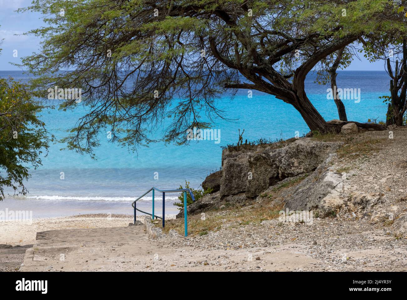 Big tree and the Caribbean sea in different shades of blue at Playa ...