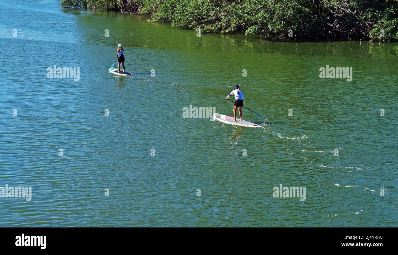 RIO DE JANEIRO, BRAZIL - JANUARY 8, 2014: Women practicing stand up ...
