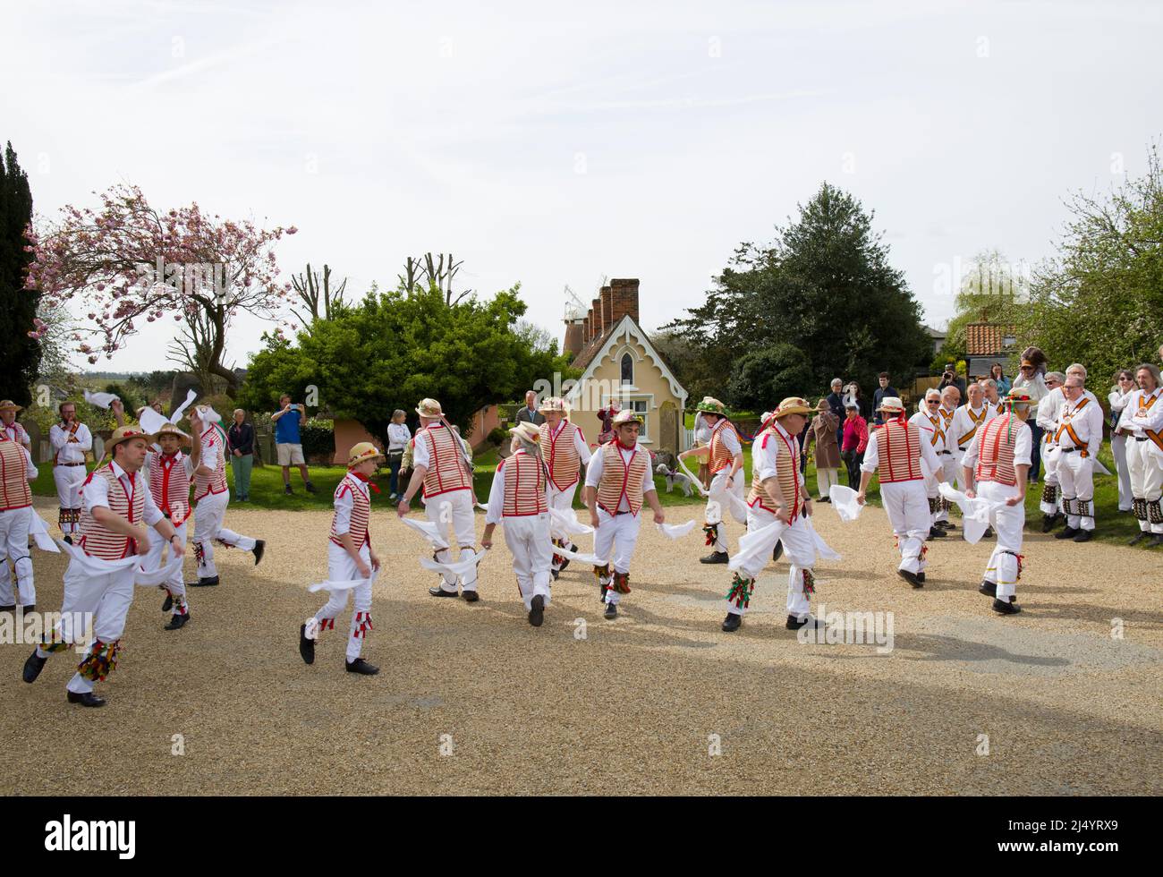 Thaxted Morris Men Dancing at Thaxted Churchyard Thaxted Essex Stock ...
