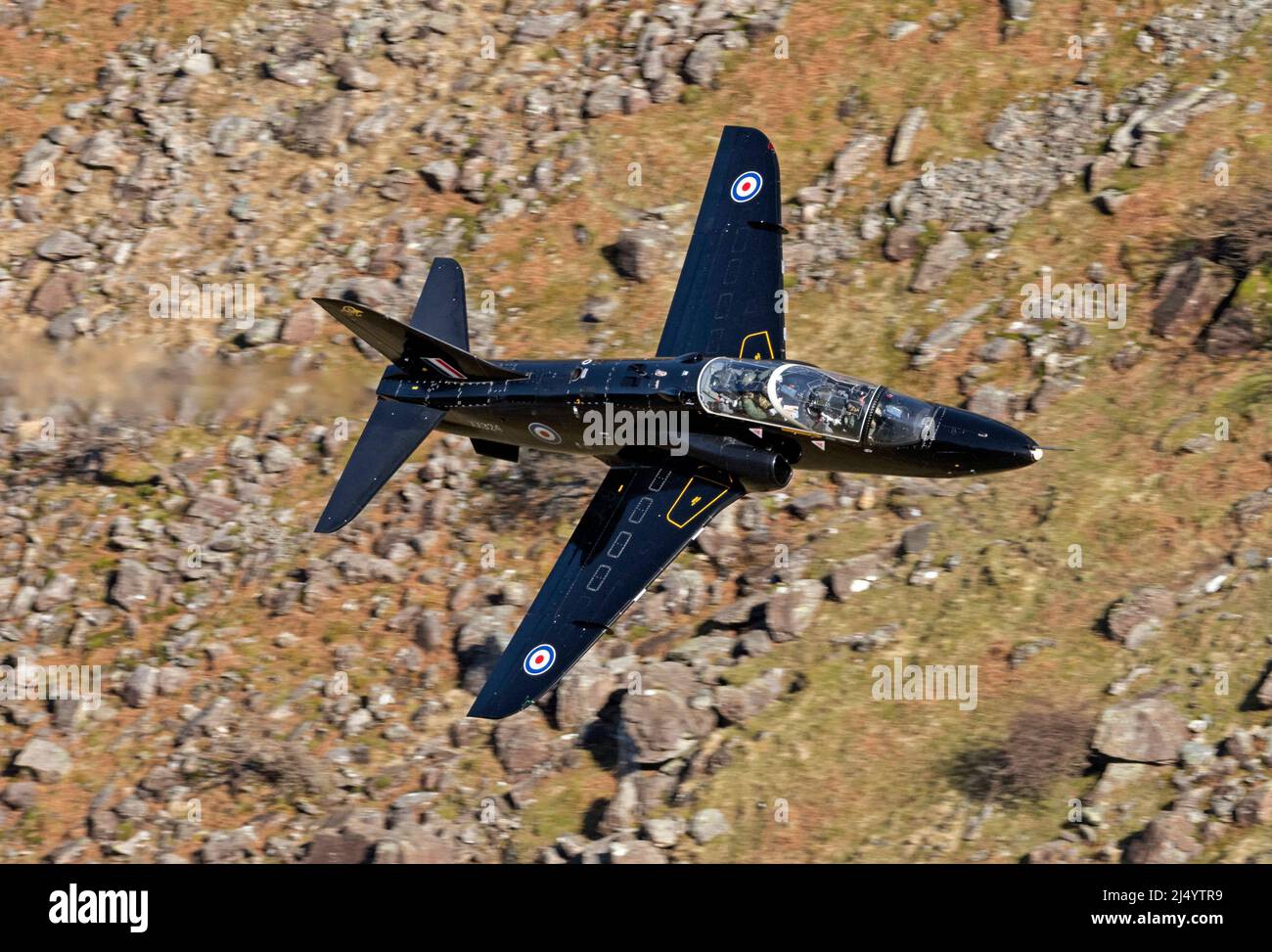 Royal navy hawk t1 culdrose hi-res stock photography and images - Alamy