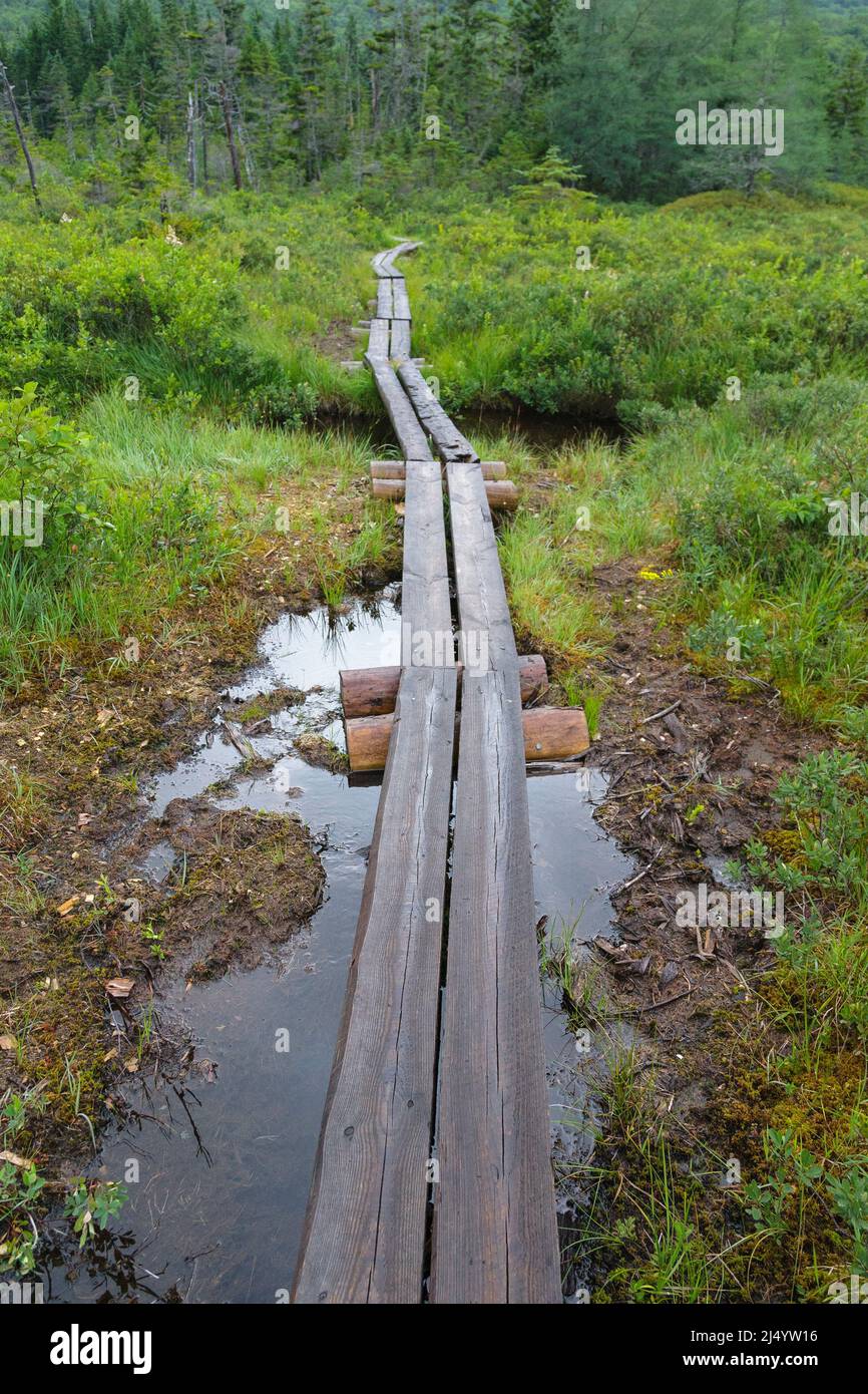 Bog bridge on Lonesome Lake Loop trail next to Lonesome Lake in the ...