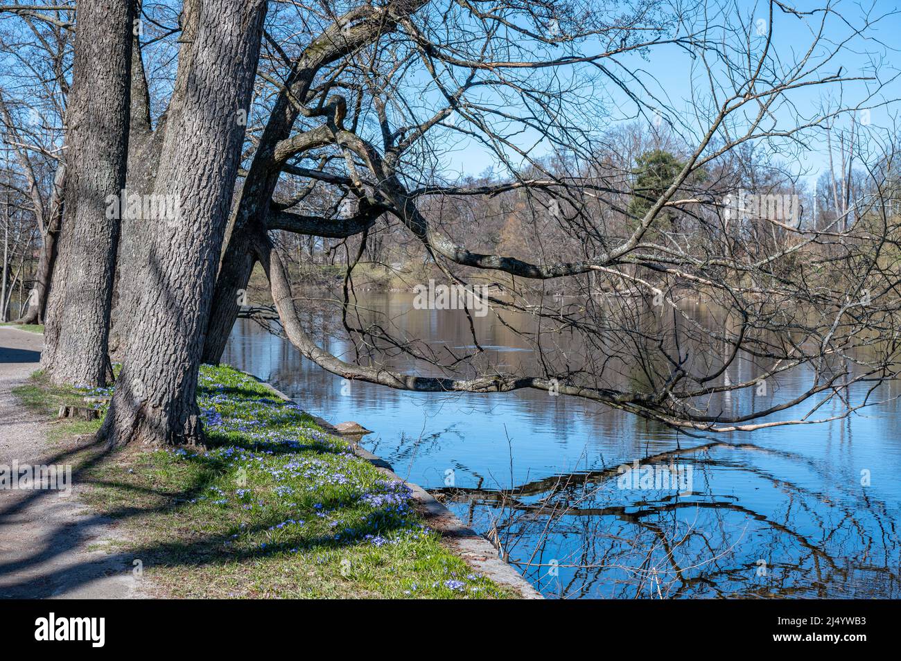Waterfront park Abackarna during spring in Norrkoping. The park ...