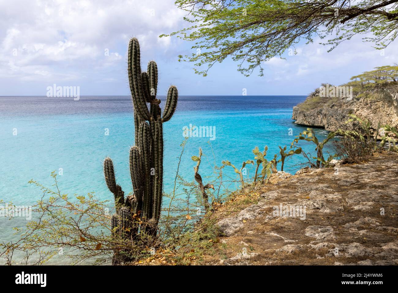 Holiday at Playa Jeremi on the Caribbean island Curacao Stock Photo - Alamy
