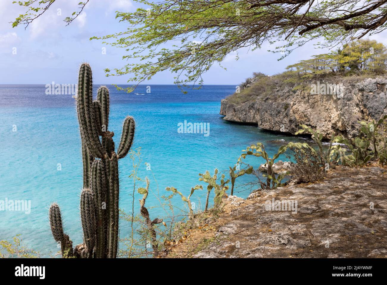 Jeremi beach curacao hi-res stock photography and images - Alamy