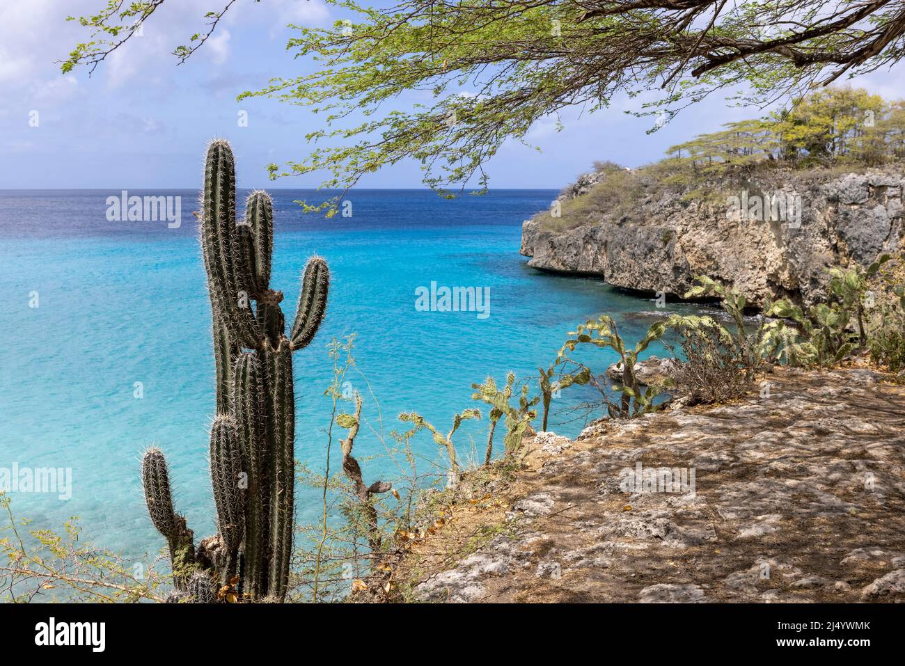 Holiday at Playa Jeremi on the Caribbean island Curacao Stock Photo - Alamy