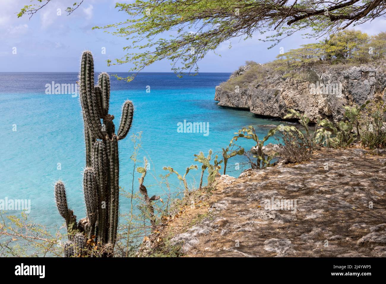 Holiday at Playa Jeremi on the Caribbean island Curacao Stock Photo - Alamy