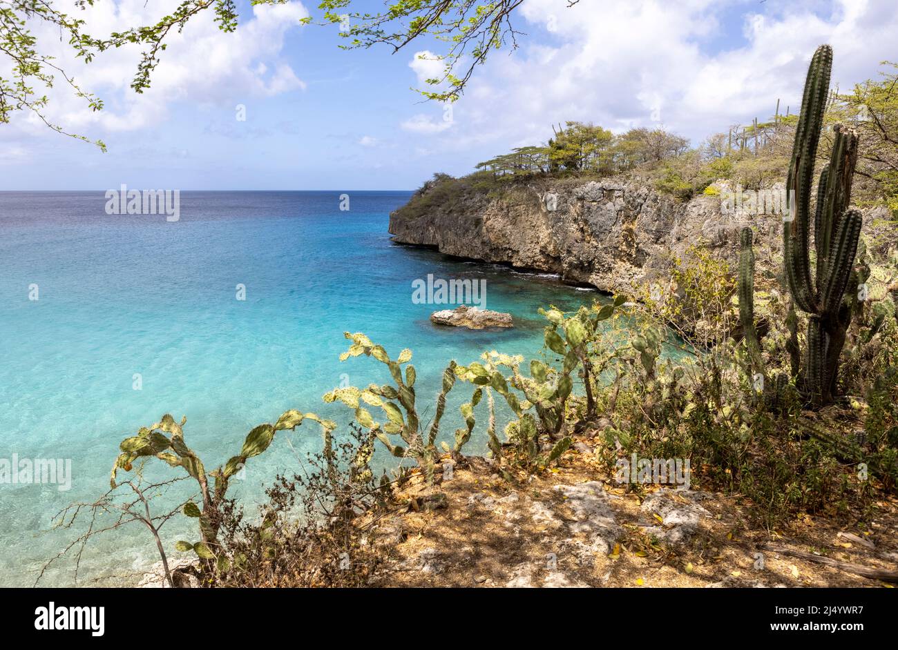 Holiday at Playa Jeremi on the Caribbean island Curacao Stock Photo - Alamy