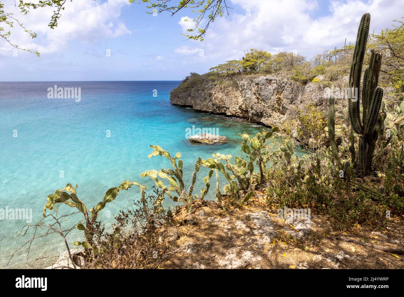 Holiday at Playa Jeremi on the Caribbean island Curacao Stock Photo - Alamy