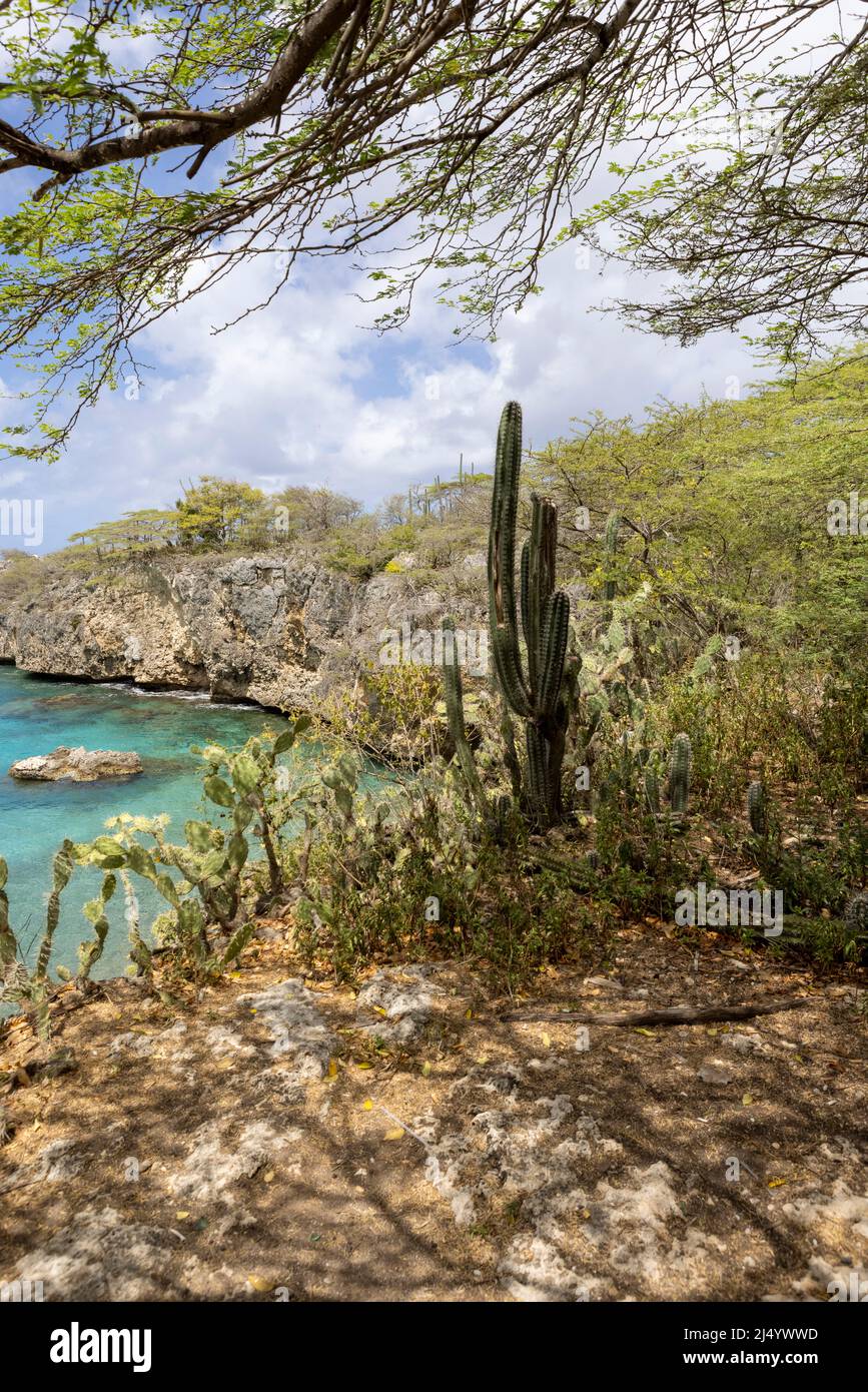 Holiday at Playa Jeremi on the Caribbean island Curacao Stock Photo - Alamy