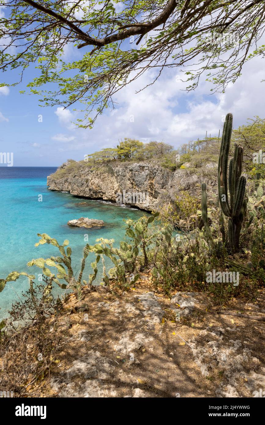 Holiday at Playa Jeremi on the Caribbean island Curacao Stock Photo - Alamy